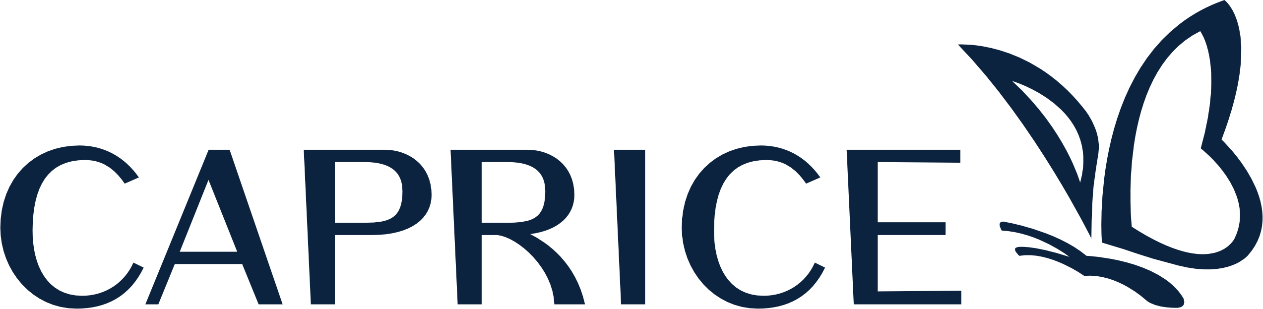 Caprice – Quick Shoes | Strijen